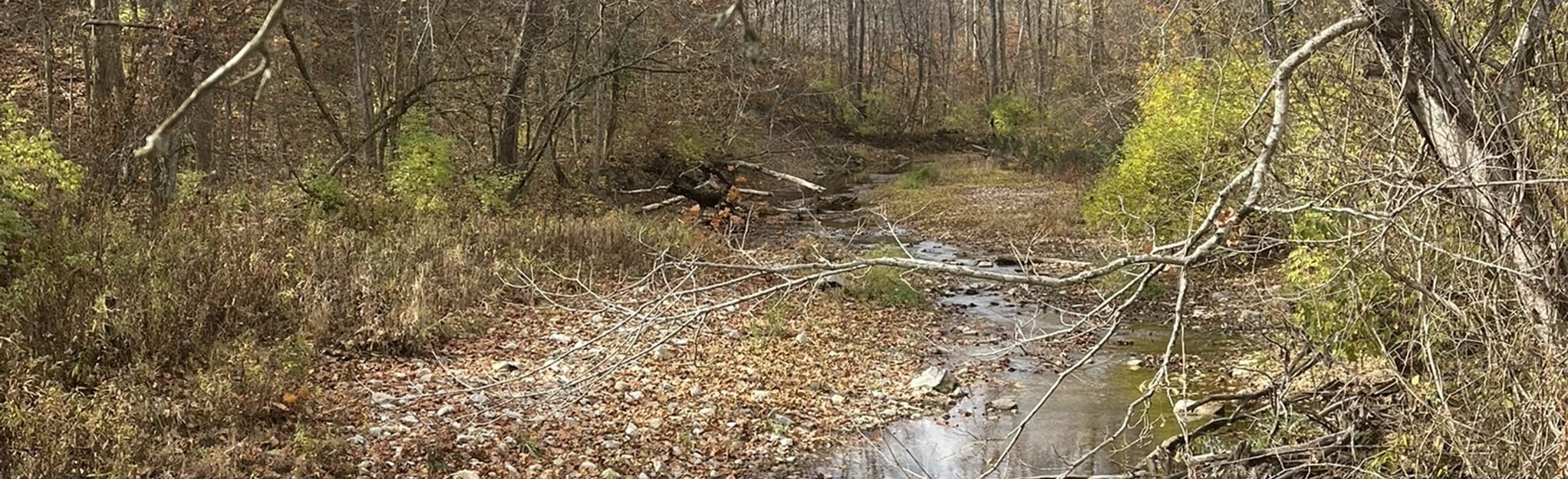 Historical Society Blue Trail, Ohio - 7 Reviews, Map | AllTrails