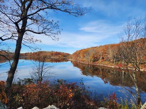 2023 Best 10 Long Trails in Worthington State Forest | AllTrails