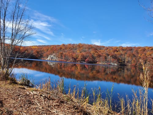 2023 Best Moderate Trails in Kent Cliffs | AllTrails