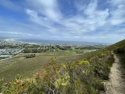 10 Best Trails and Hikes in Hermanus | AllTrails