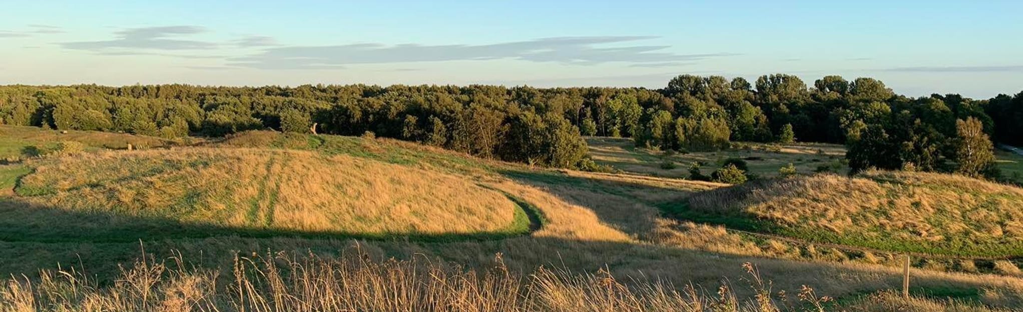 Red Trail (Ystads Backar MTB), Skåne, Sweden - 3 Reviews, Map | AllTrails