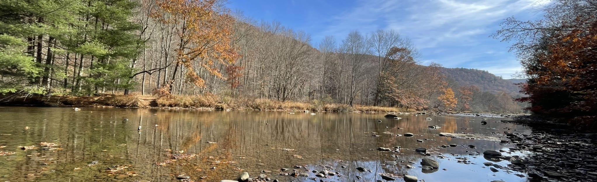 Medix Run Creek Trail, Pennsylvania - 32 Reviews, Map | AllTrails