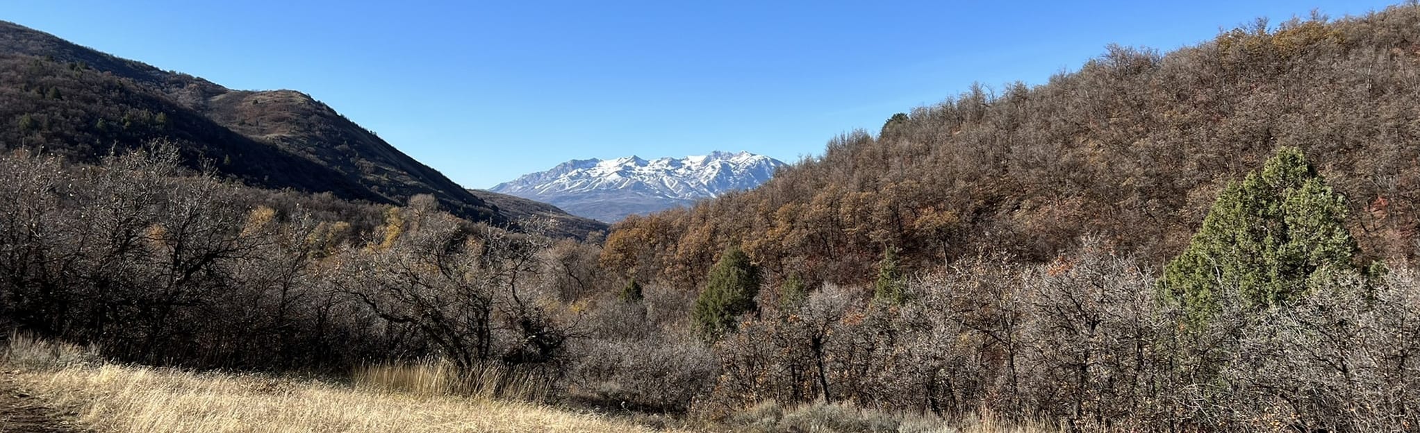 Middle Fork Ogden River and Power Line Trail | Map, Guide - Utah ...