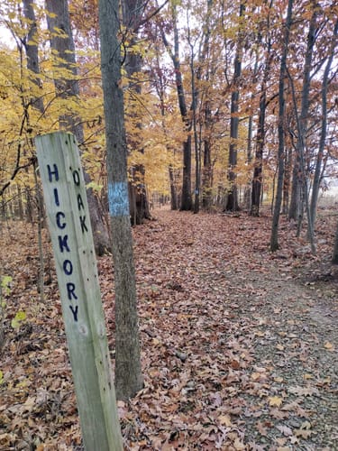 2023 Best trails in Sandusky Hollow Nature Preserve | AllTrails