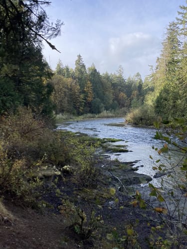 Best Hikes and Trails in Cowichan River Provincial Park | AllTrails