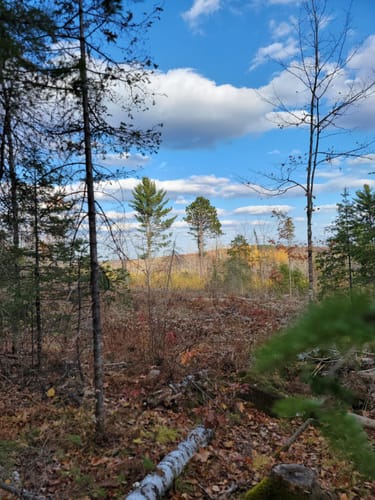 Best Hikes and Trails in Brule River State Forest | AllTrails