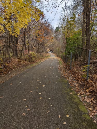Best Hikes and Trails in Bath Community Park | AllTrails