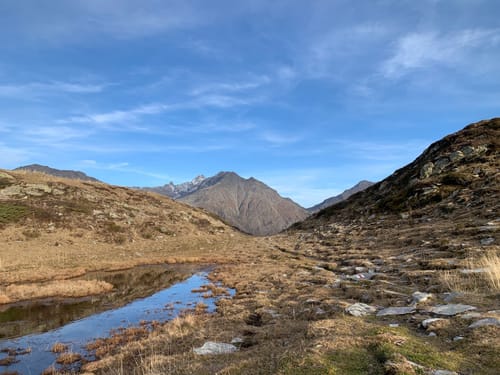 2023 Best 10 Wildlife Trails in Parco Val Calanca | AllTrails