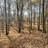Raven Red Trail Loop, Wisconsin - 199 Reviews, Map | AllTrails