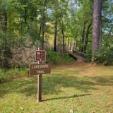 Ratcliff Lake Trail, Texas - 242 Reviews, Map | AllTrails