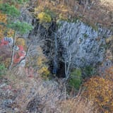 Mathews Arm Overall Run Trail, Virginia - 242 Reviews, Map | AllTrails