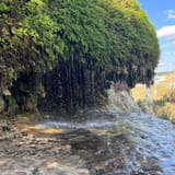 Good Water Trail from Cedar Breaks, Texas - 704 Reviews, Map | AllTrails