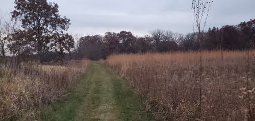 Best Hikes and Trails in Oakdale Nature Preserve | AllTrails