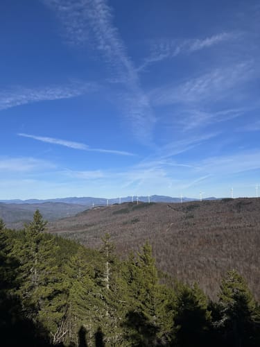 Best Hikes and Trails in Hebron Town Forest | AllTrails