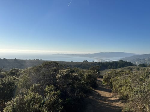 Best 10 Hikes and Trails in Mount Tamalpais State Park | AllTrails
