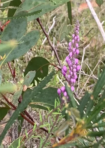 Best Hikes and Trails in Awaba | AllTrails