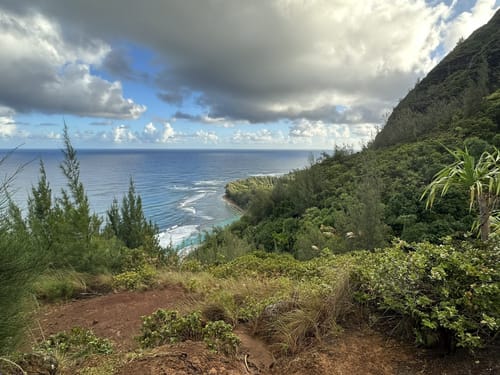 2023 Best 10 Trails and Hikes in Kaua'i | AllTrails