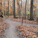Kickapoo Mountain Bike Trail, Illinois - 128 Reviews, Map | AllTrails