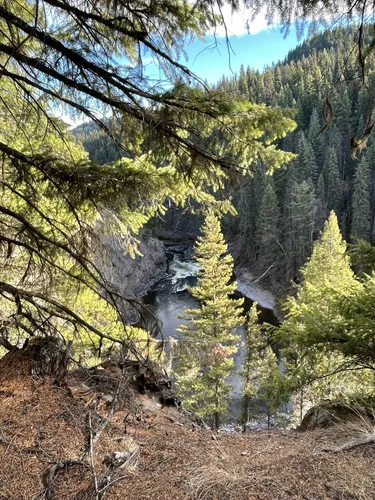 Best Hikes and Trails in Blackwater River Crossing Recreation Site ...