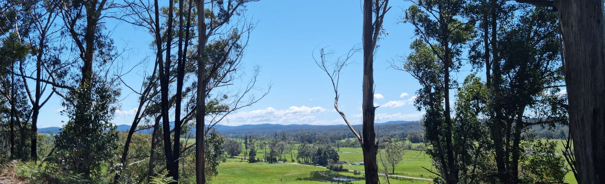East Gippsland Rail Trail: Nowa Nowa - Orbost, Victoria, Australia - 8 ...
