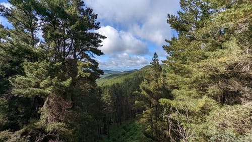 Best 10 Hikes and Trails in Mount Canobolas State Conservation Area ...