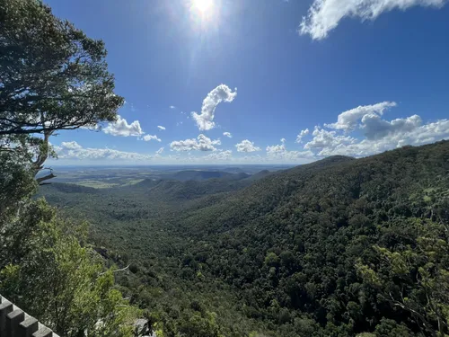 10 Best Walking Trails in Bunya Mountains National Park | AllTrails