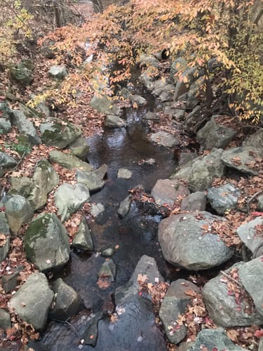 Best Hikes and Trails in Henson Creek Park | AllTrails