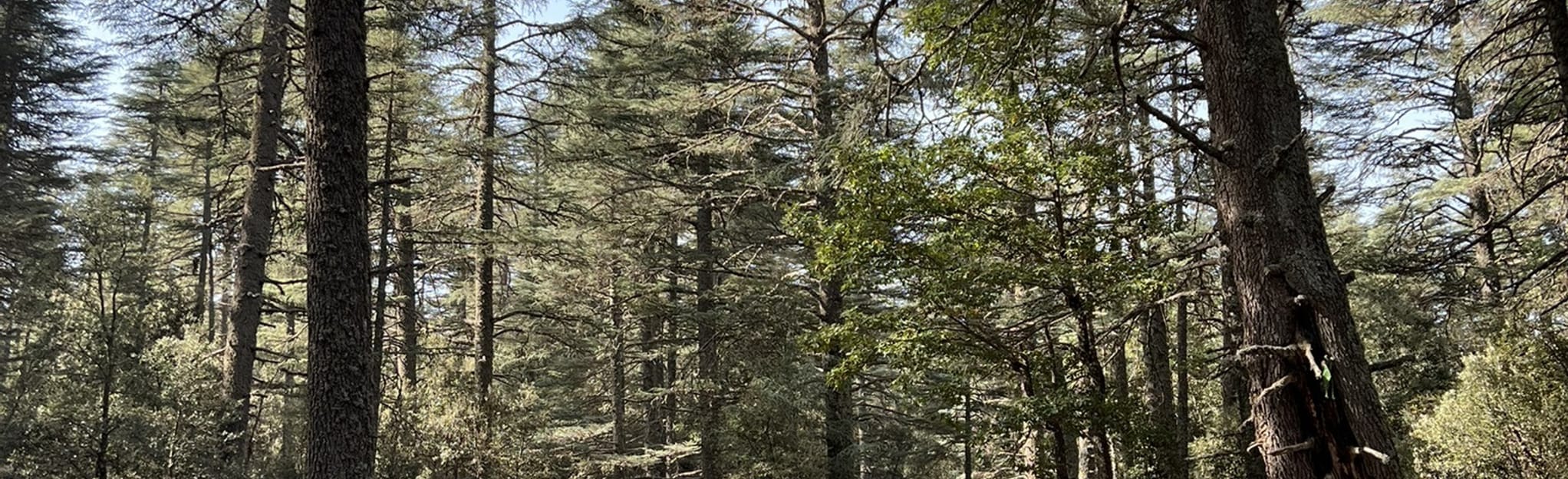 Rantum Scoot Loop: 4 Reviews, Map - Marrakesh-Tensift-El Haouz, Morocco ...