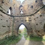 Hackfall Explorer, North Yorkshire, England - 324 Reviews, Map | AllTrails