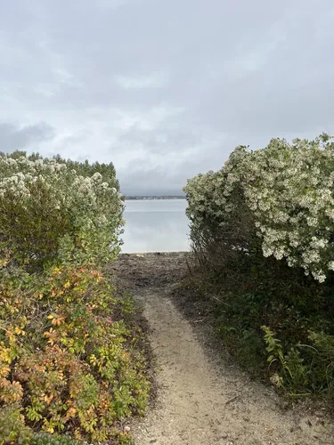 Best Hikes and Trails in Ninigret National Wildlife Refuge | AllTrails