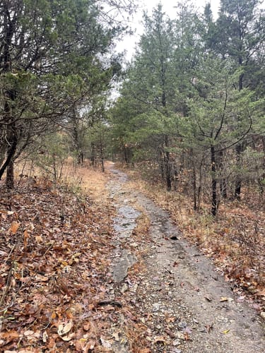 Best Hikes and Trails in Hillsboro City Park | AllTrails