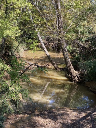 Best Hikes and Trails in Paul G Boorman Trail Park | AllTrails