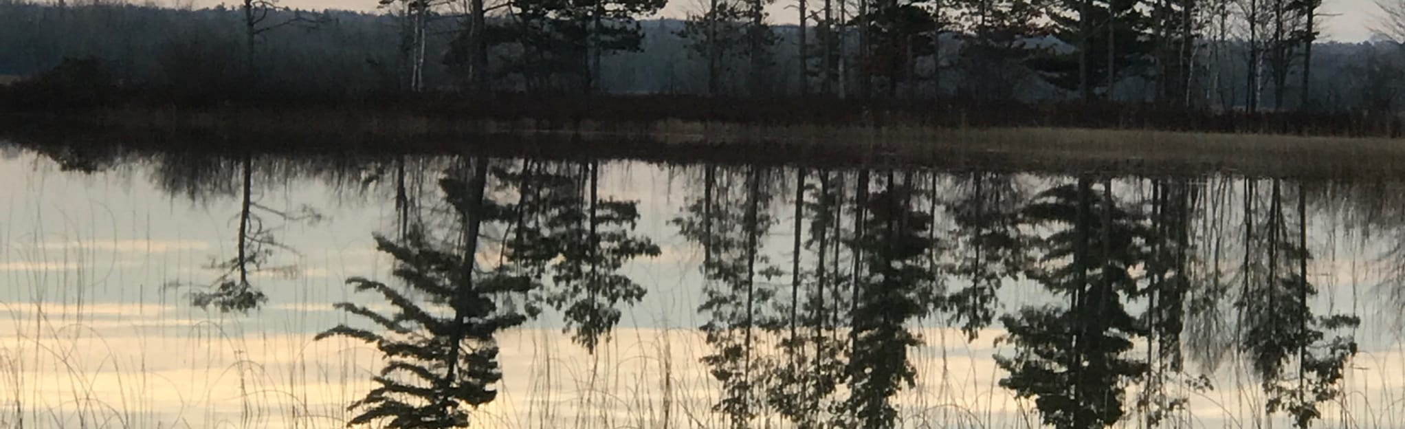 French Farm Lake Road from French Farm Lake, Michigan - 36 Reviews, Map ...