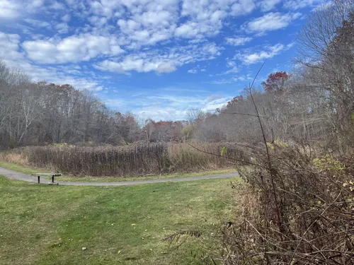 Best Hikes and Trails in Storrs Mansfield | AllTrails