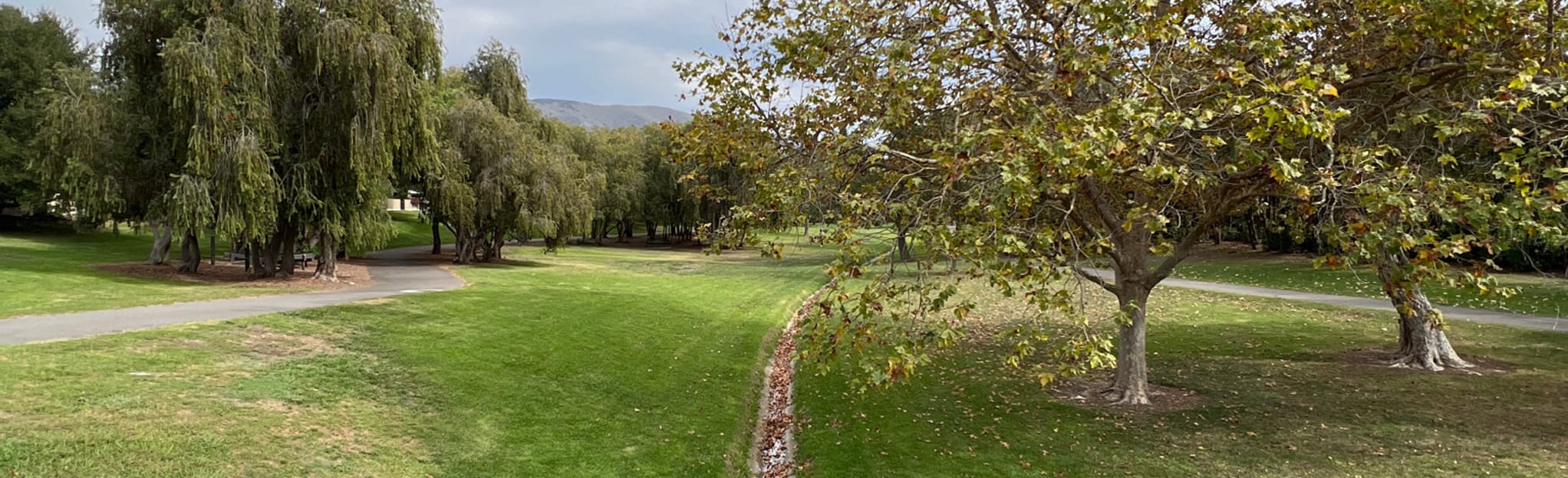 Meadow Park Trail, California - 58 Reviews, Map | AllTrails
