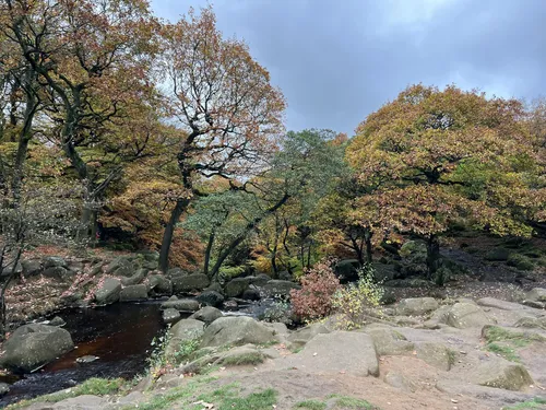 10 Best Trails, Walks, and Paths in South Yorkshire | AllTrails
