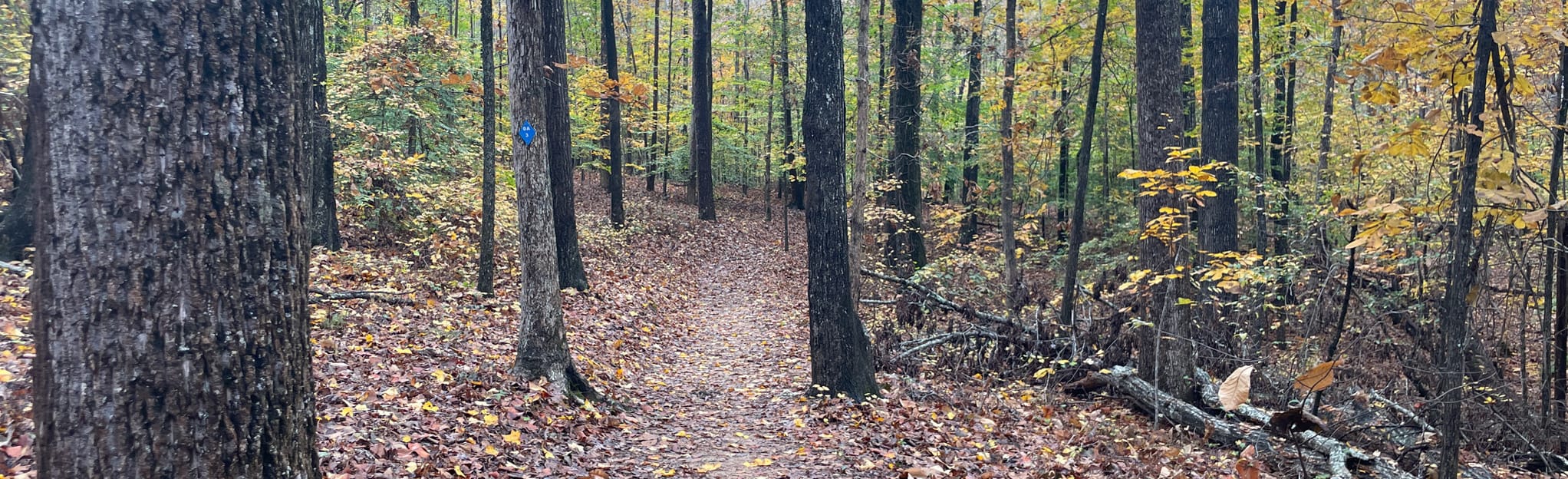 Old Atlanta Park Nature Trail, Georgia - 141 Reviews, Map | AllTrails