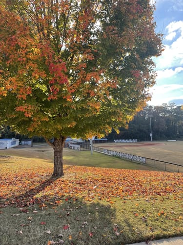 Best Hikes and Trails in Granger Park | AllTrails