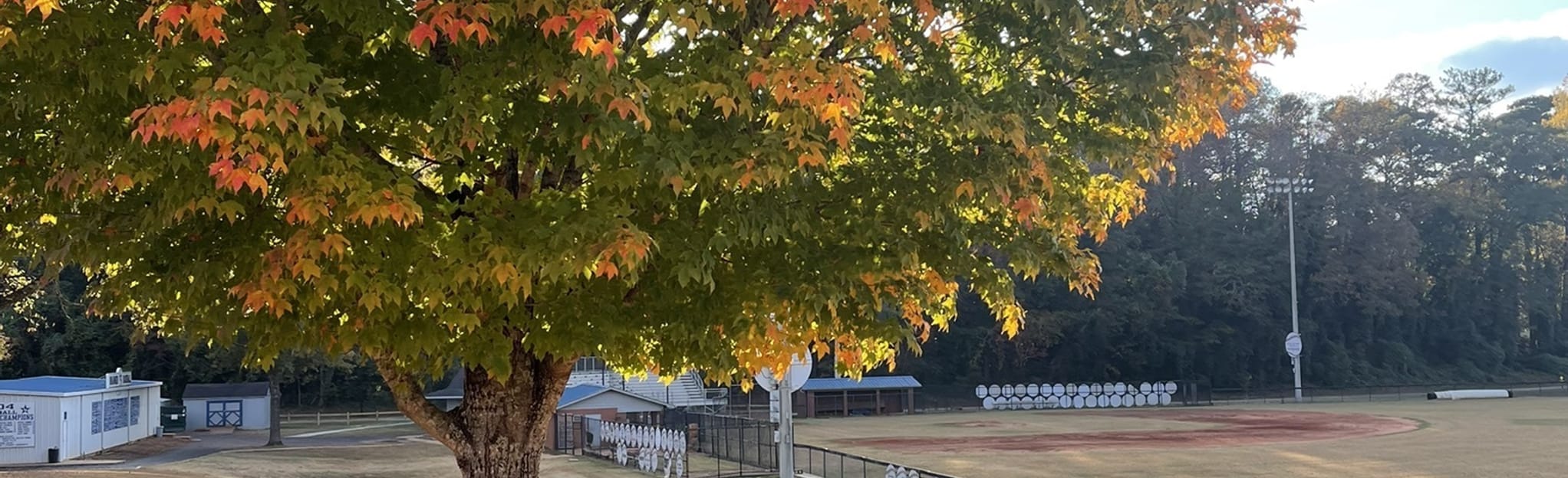 Granger Park Trail : 69 Reviews, Map - Georgia | AllTrails