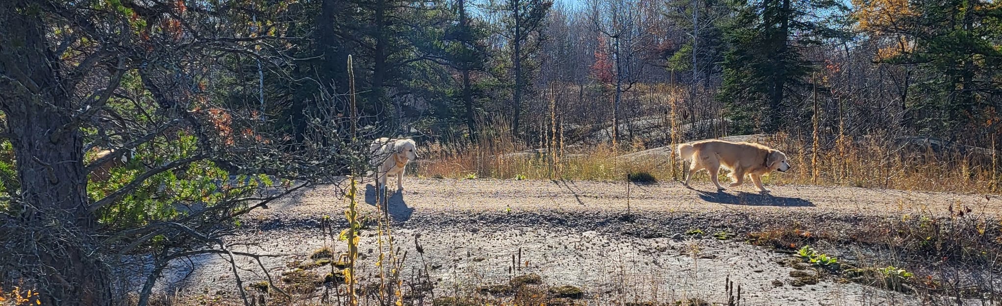The Great Trail via Snowman Trail, Manitoba, Canada - 5 Reviews, Map ...