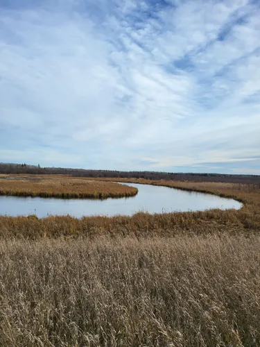 10 Best Trails and Hikes in Pinawa | AllTrails