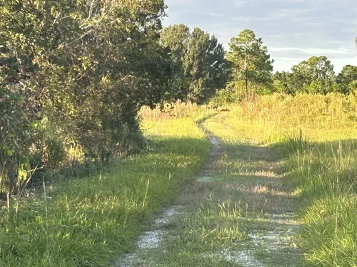 2023 Best Forest Trails in Frostproof | AllTrails