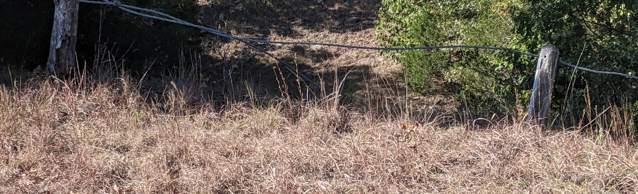 Arrowhead State Park Trails 3, 1, 2, Oklahoma - 94 Reviews, Map | AllTrails