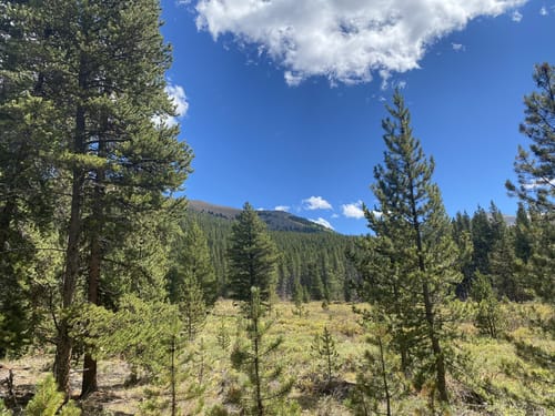 Best Hikes and Trails in Taylor Park | AllTrails