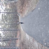 Winding River Park Trail, New Jersey - 579 Reviews, Map | AllTrails