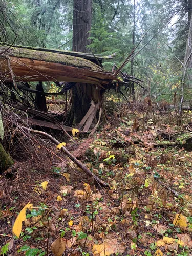 Best Hikes and Trails in Goat Range Provincial Park | AllTrails