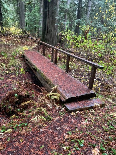 Best Hikes and Trails in Goat Range Provincial Park | AllTrails