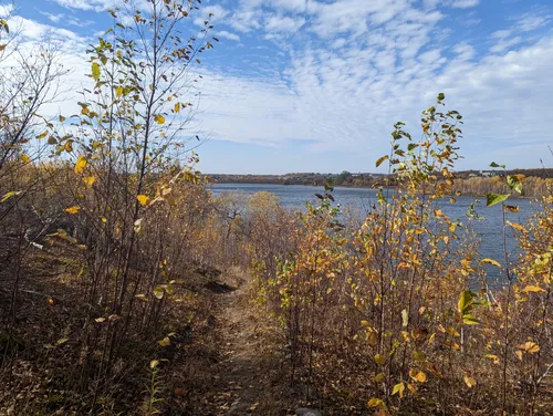 Best Hikes and Trails in Fielding Memorial Park | AllTrails