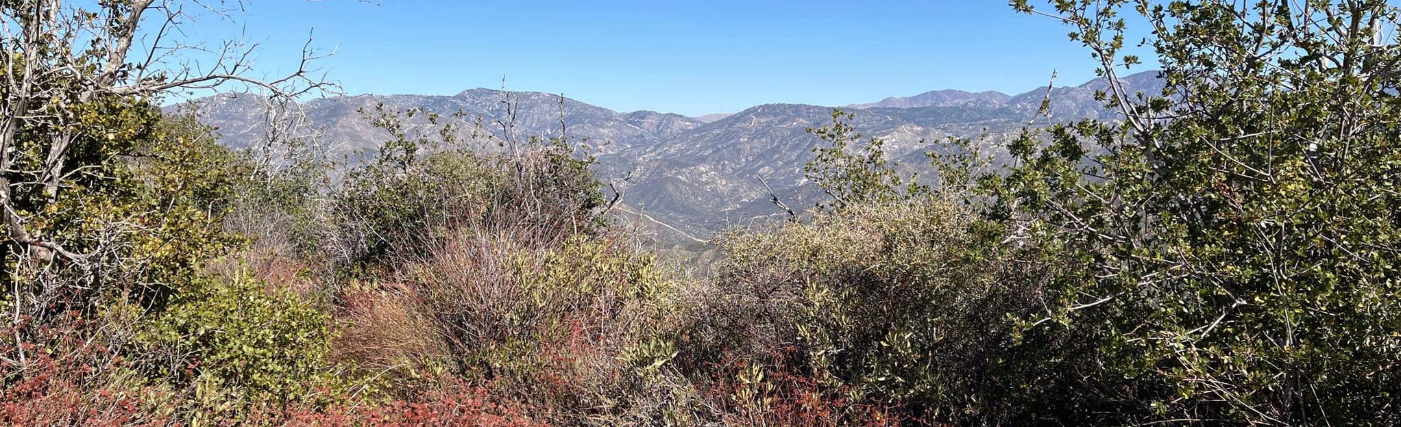 Strawberry Spur Trail, Mount Lawlor, and Gabrielino Trail Loop [CLOSED ...