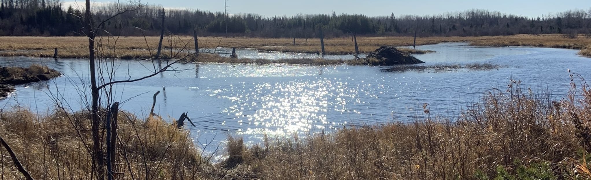 Bald Hill and Gorge Creek Trail: 575 foto's - Manitoba, Canada | AllTrails